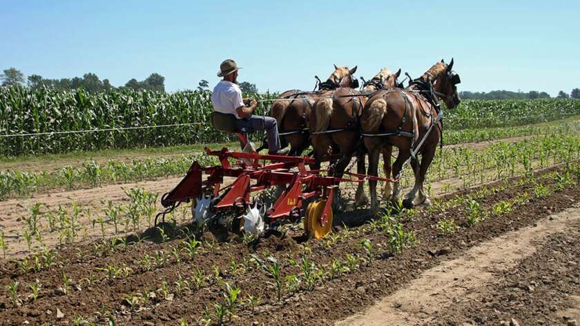 Crop Cultivators - I&J Manufacturing | Lancaster County, PA